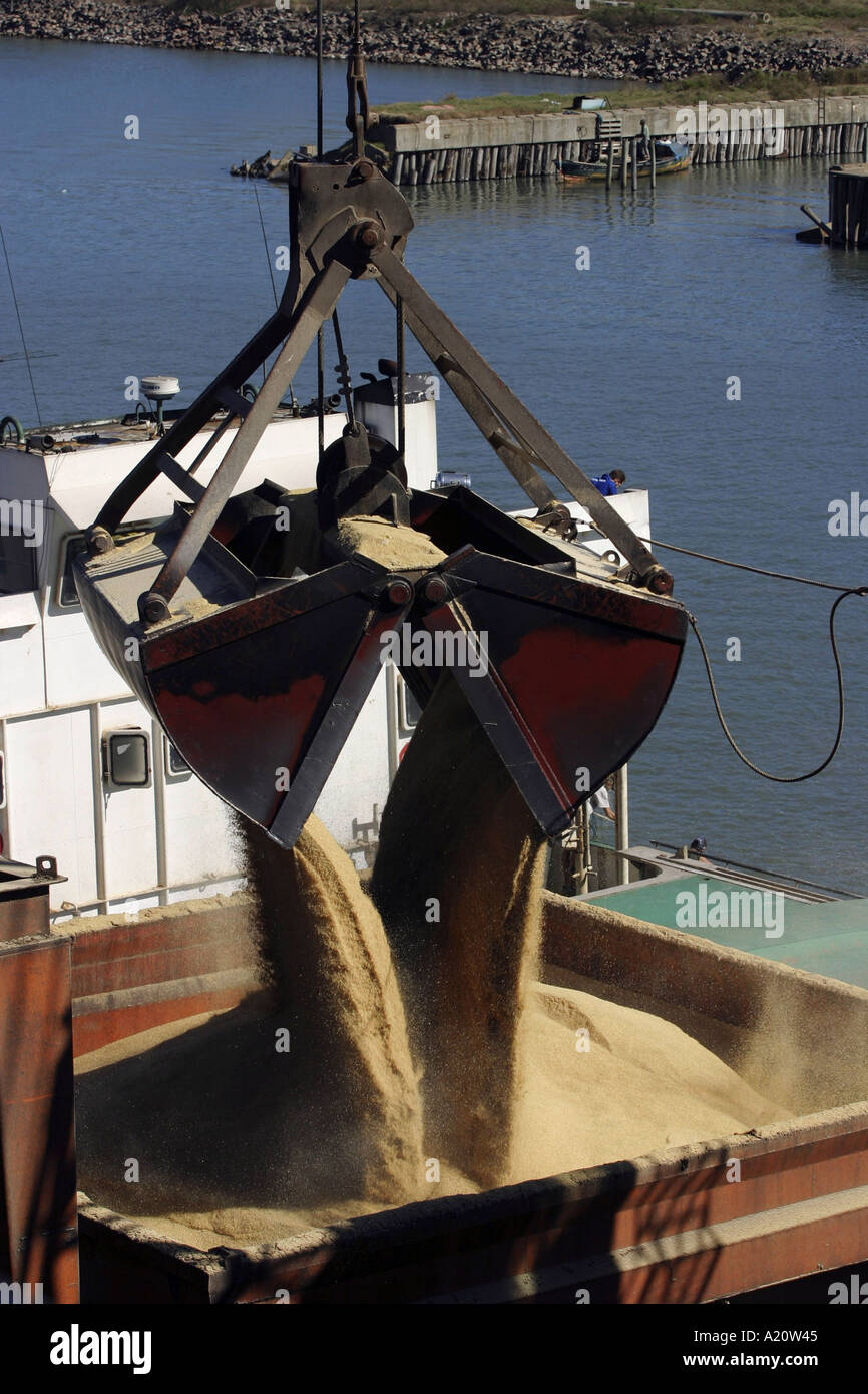 Loading grain soya hi-res stock photography and images - Alamy