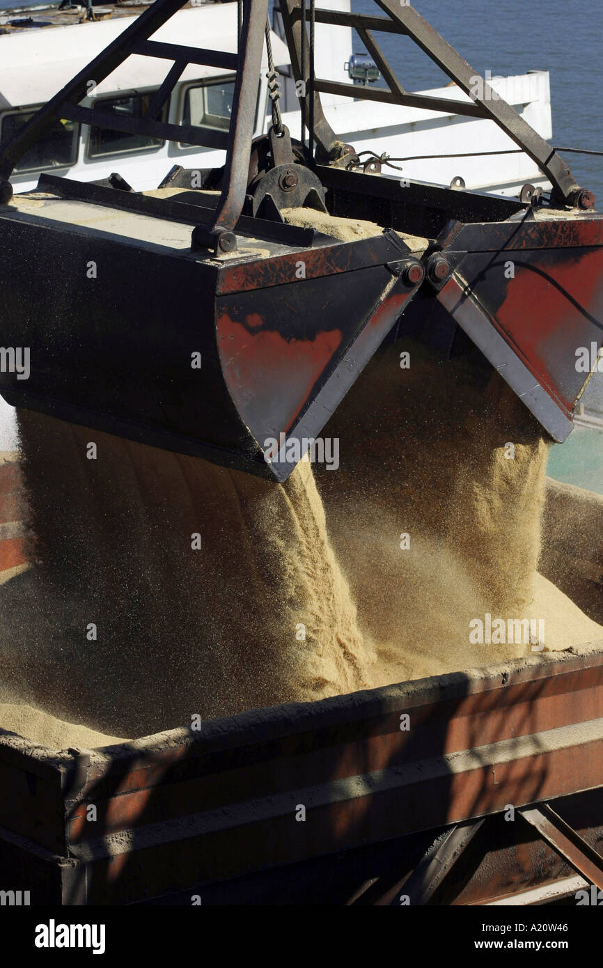 Bulk carrier ship loads its cargo of genetically modified soya, in dock ...