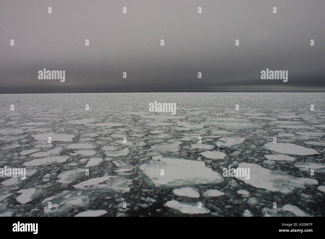 Brash ice, iceflows, in the Southern Ocean near Antarctica Stock Photo ...