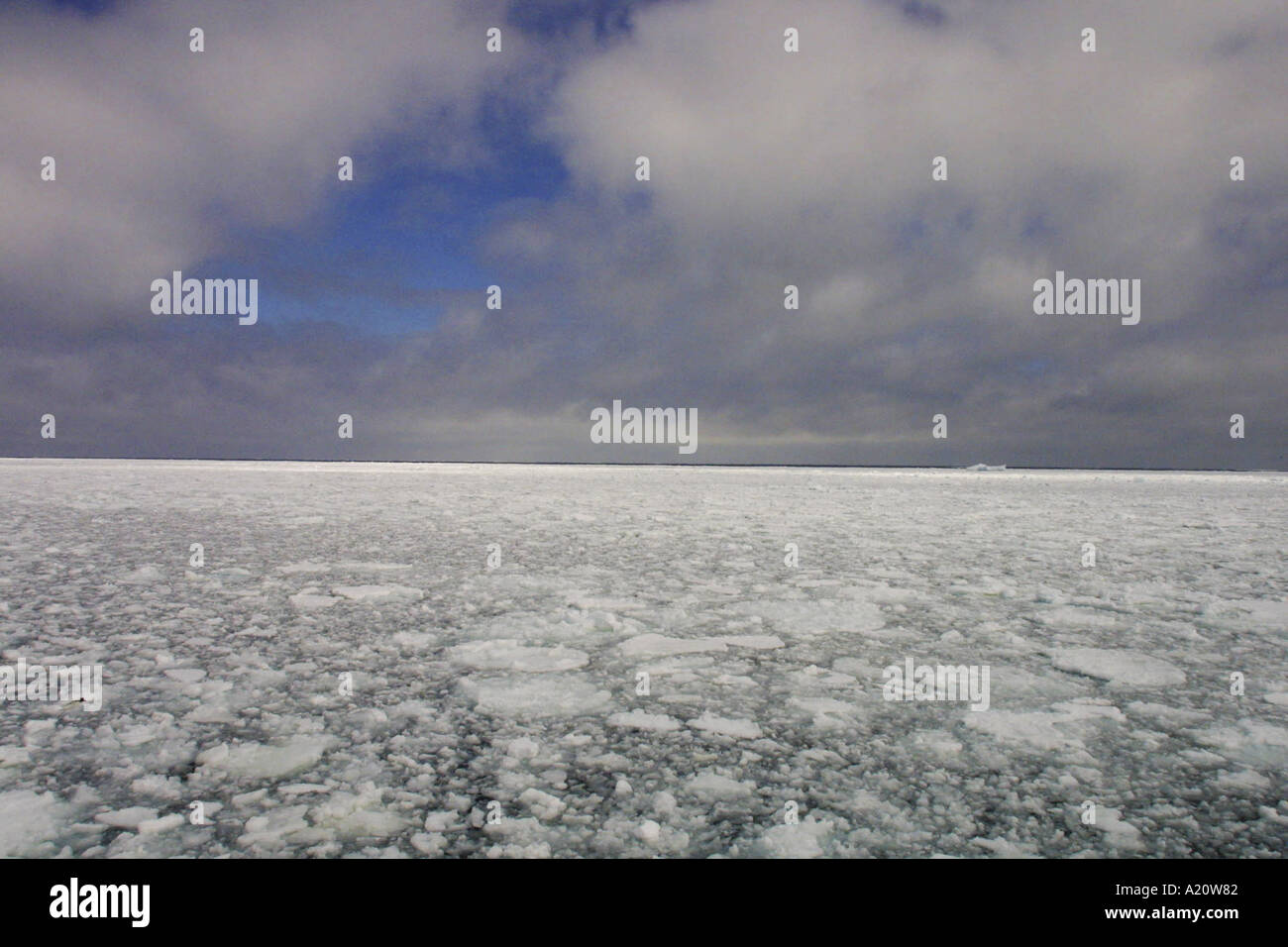 Eco brash hi-res stock photography and images - Alamy