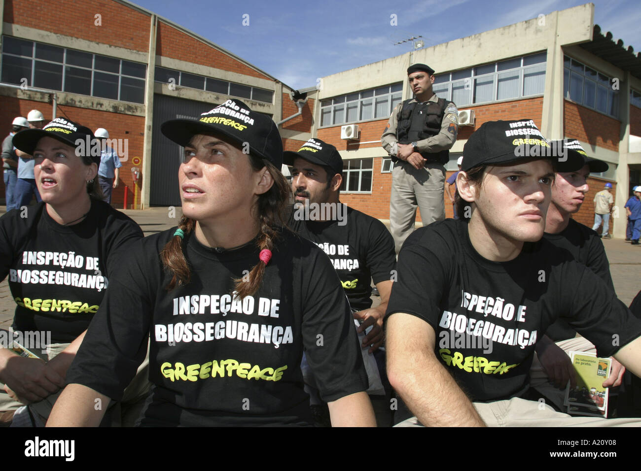 Greenpeace environmental protection group protest genetically modified ...
