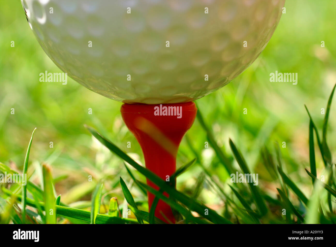 Peg Tees High Resolution Stock Photography and Images - Alamy