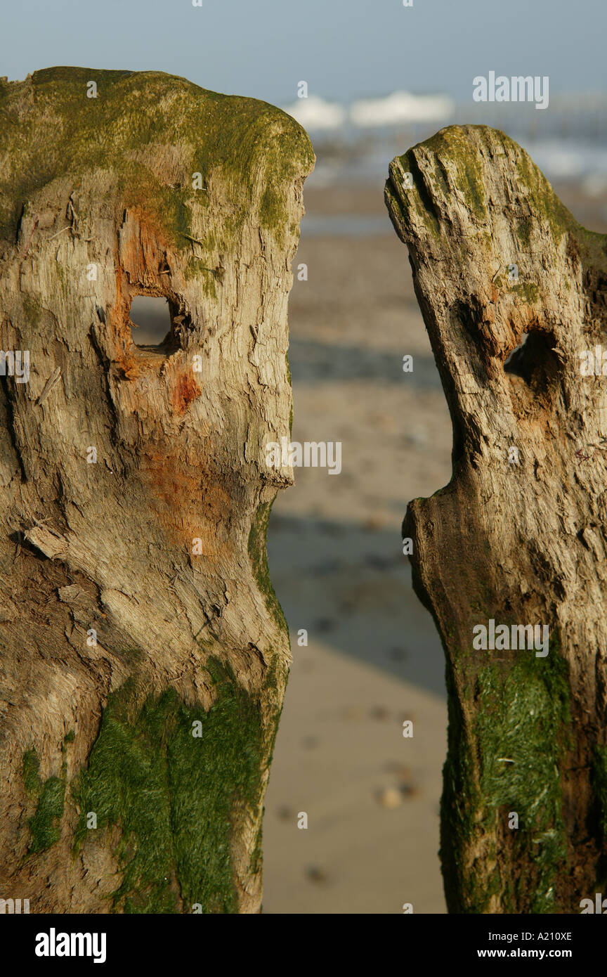 an example of Coastal erosion with coastal waves in background Stock ...