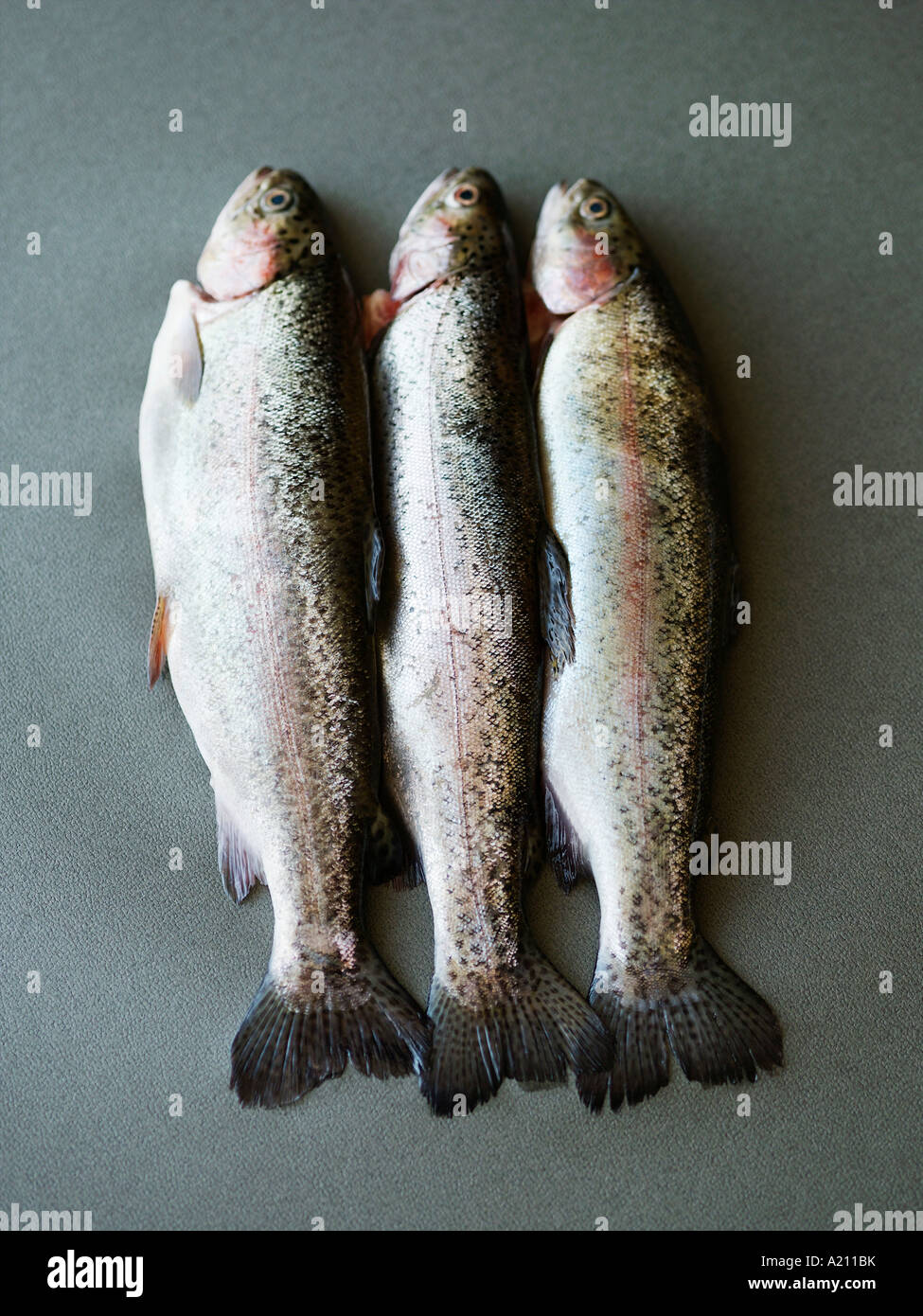 Three dead fish lying side by side Stock Photo - Alamy