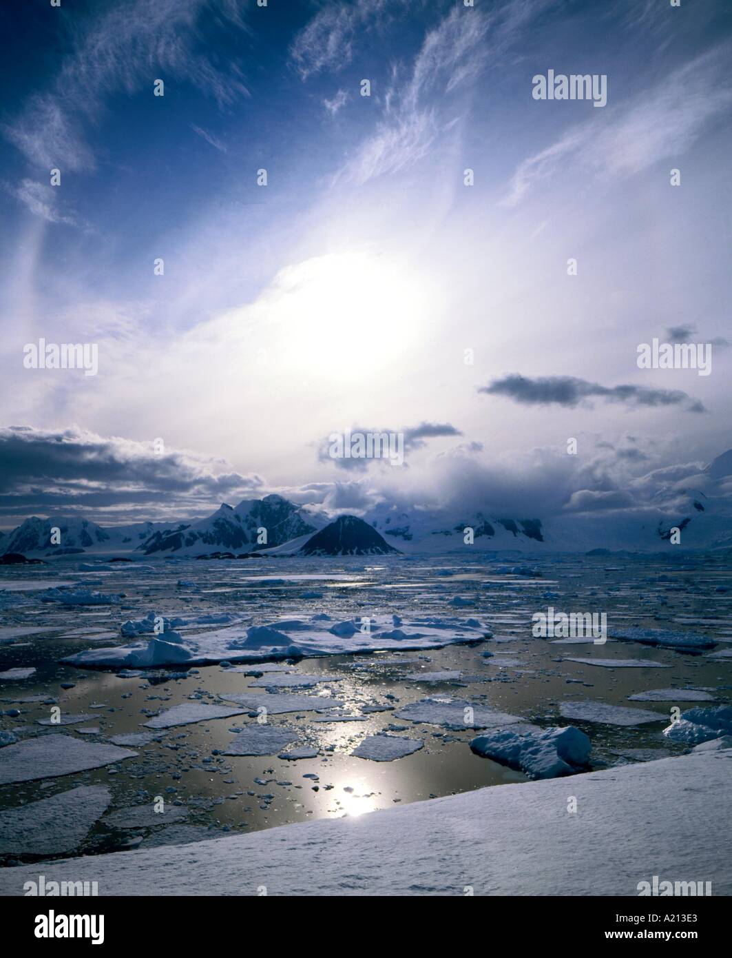 Ice flow scenic Adelaide Island Antarctica G Renner Stock Photo - Alamy