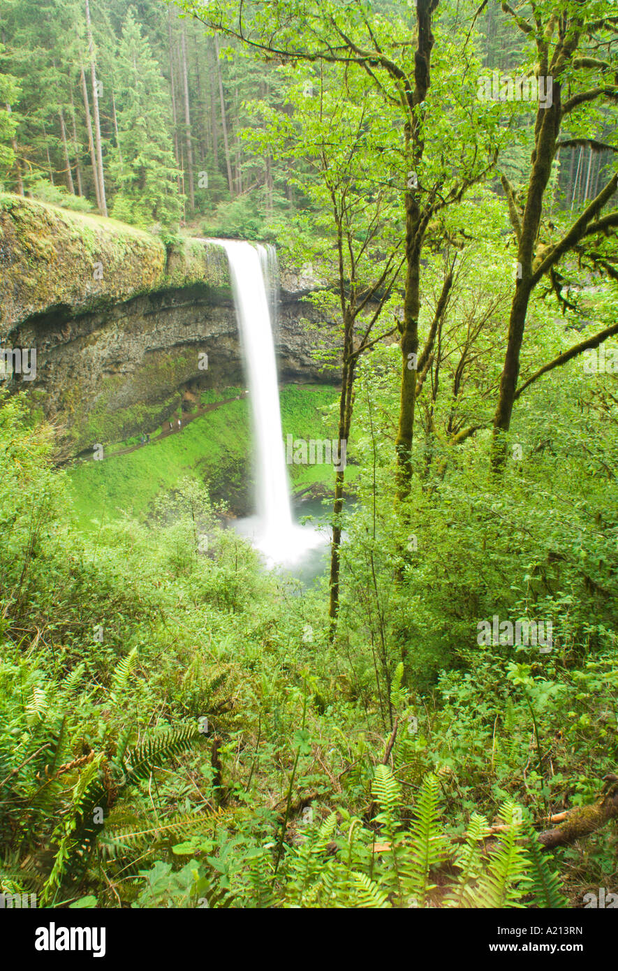 South Falls at Silver Falls State Park Stock Photo - Alamy