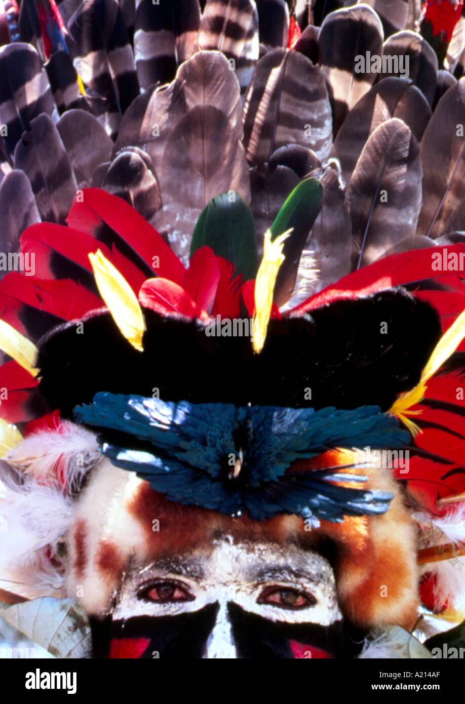 East Highlands Warrior Papua New Guinea Pacific Islands M Mackenzie ...