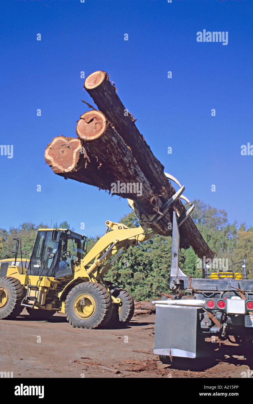fork lift lifting redwood logs from truck Willits California Stock ...