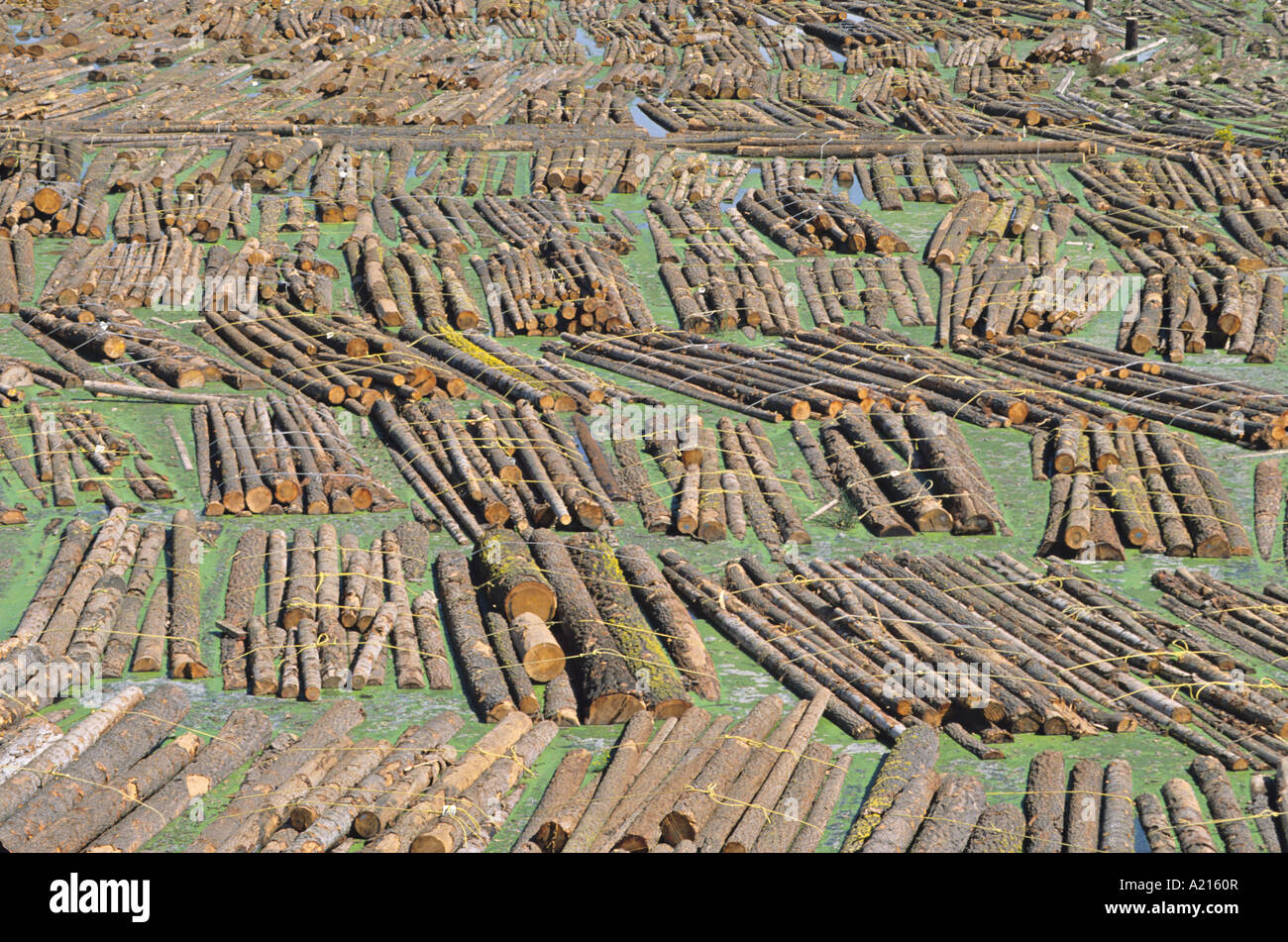 floating log raft at mill Klamath River Oregon Stock Photo - Alamy