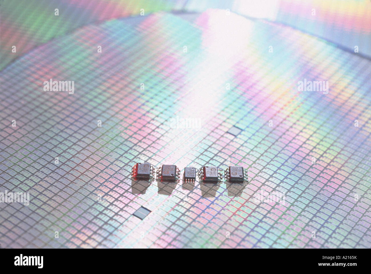 semiconductor chips on silicon wafer disk Stock Photo - Alamy