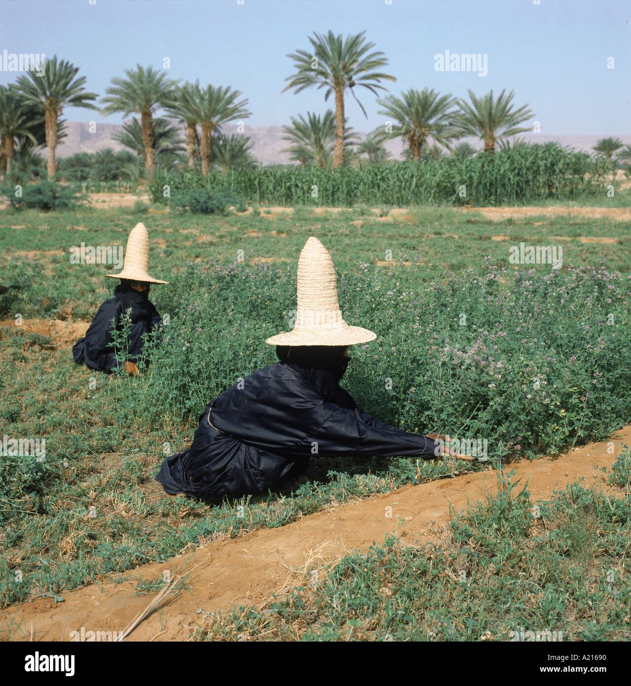 Conical straw hats hi-res stock photography and images - Alamy