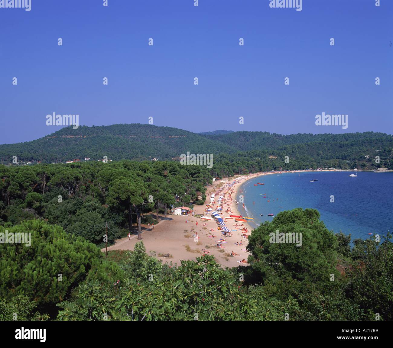 Aerial view over Koukounaries Beach Skiathos Greece P Phillips Stock ...