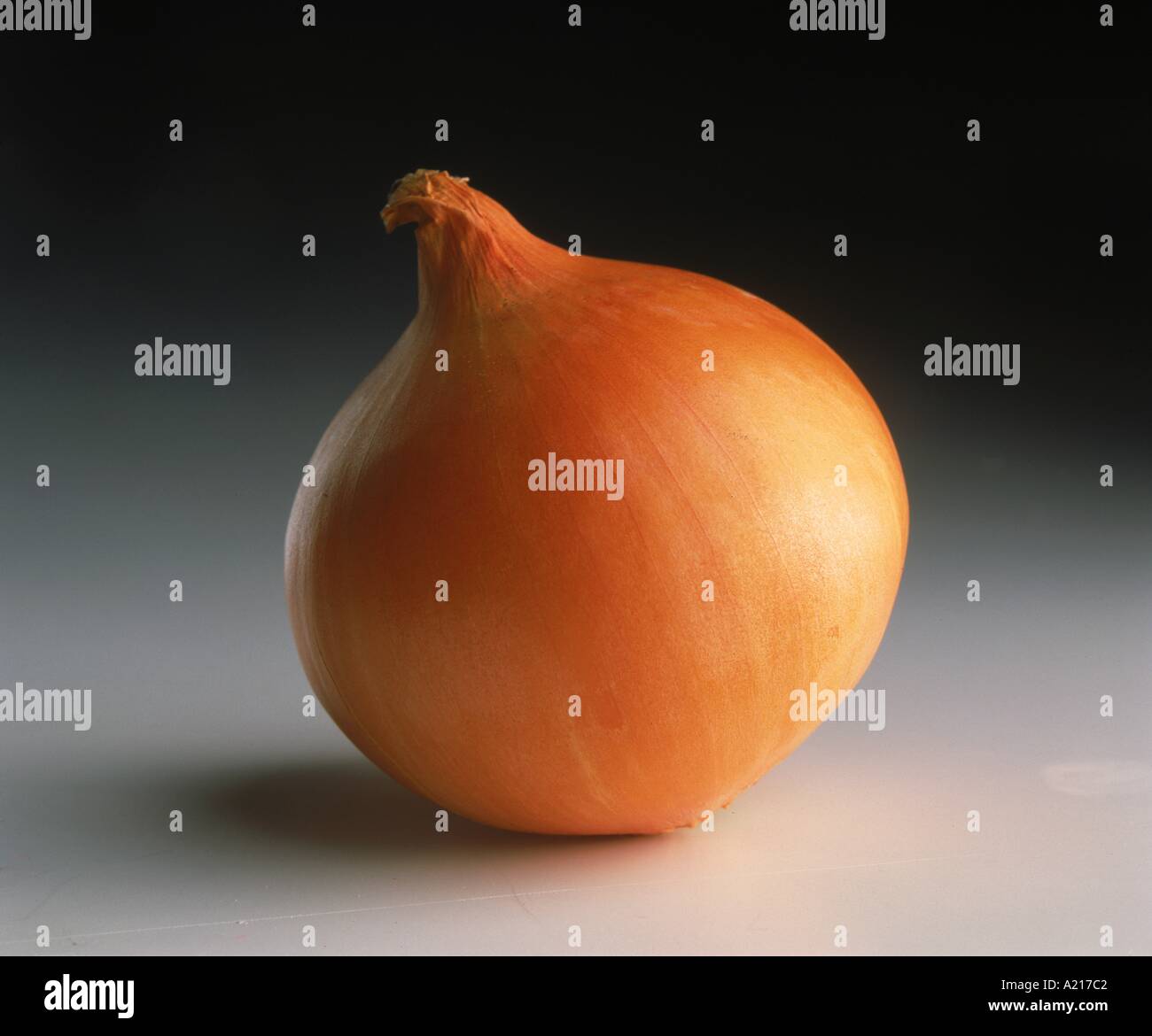 Portrait of an onion S Hedderwick Stock Photo - Alamy