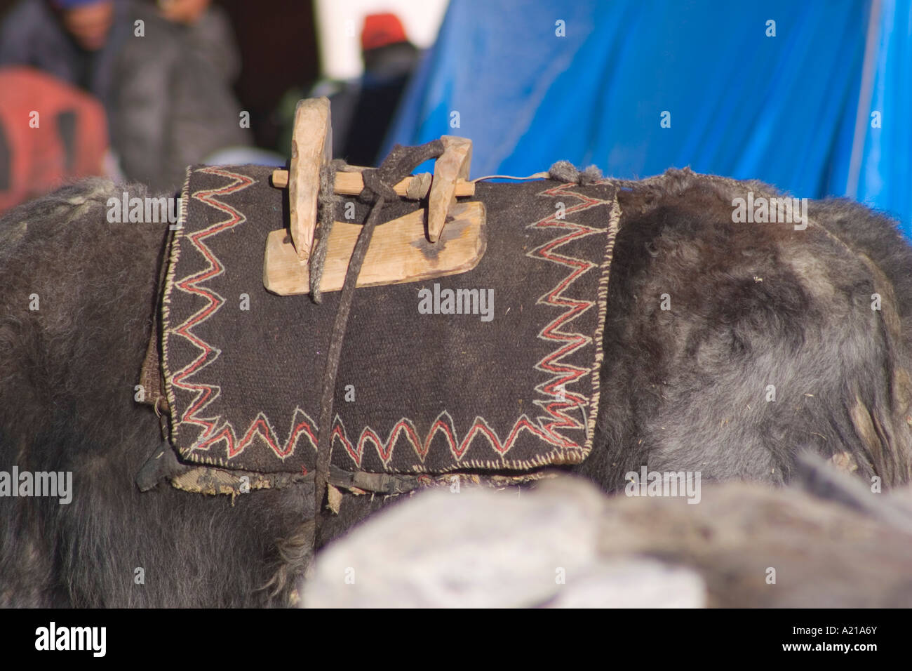 Exploring tibet hi-res stock photography and images - Alamy