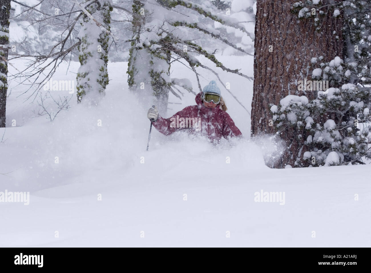 A woman skiing deep powder snow in a storm Alpine Meadows in Lake Tahoe ...