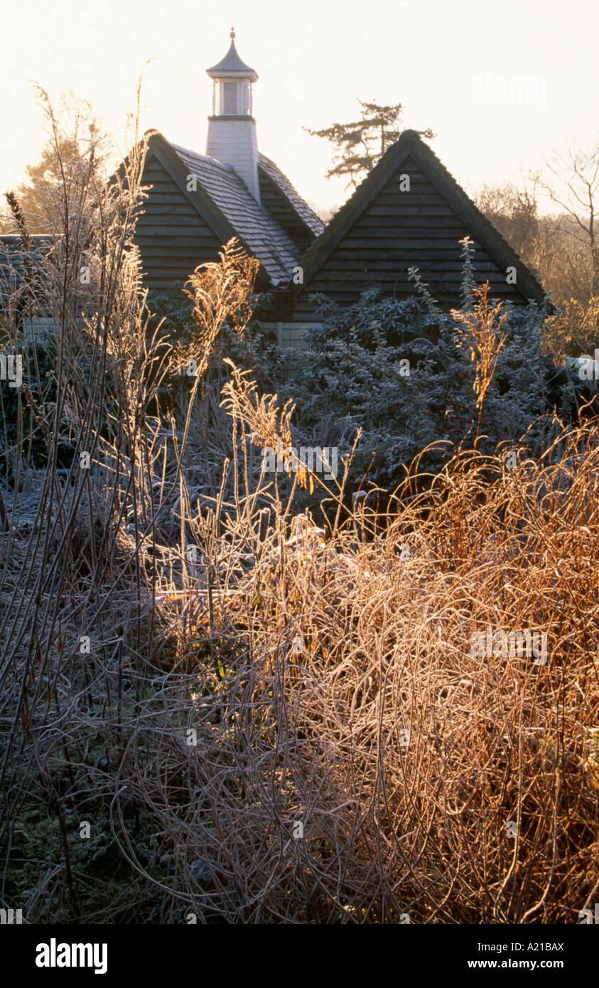 Grasses in sunny and overgrown Autumn garden border with country house ...
