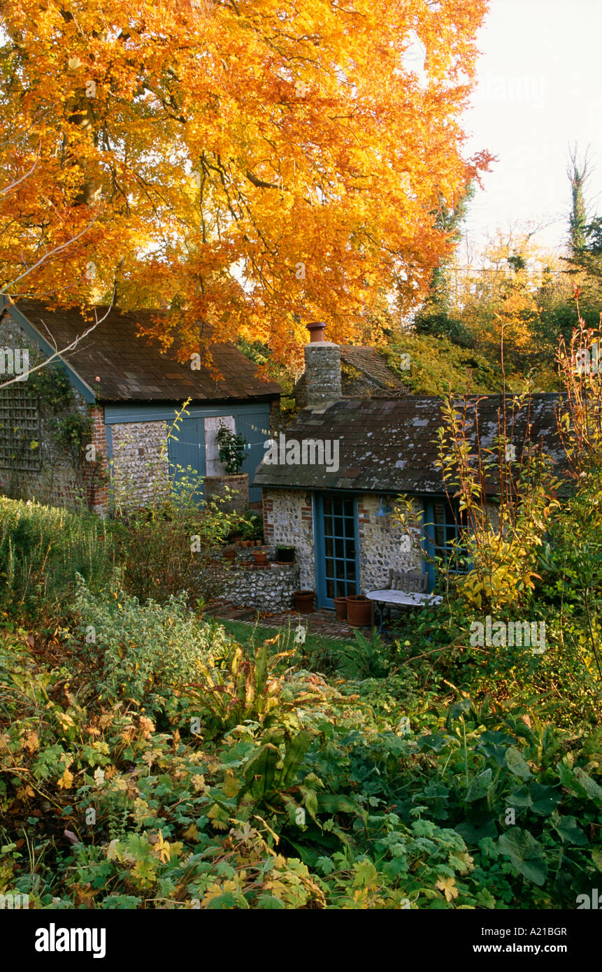 Autumn trees by outbuildings in country garden Stock Photo - Alamy