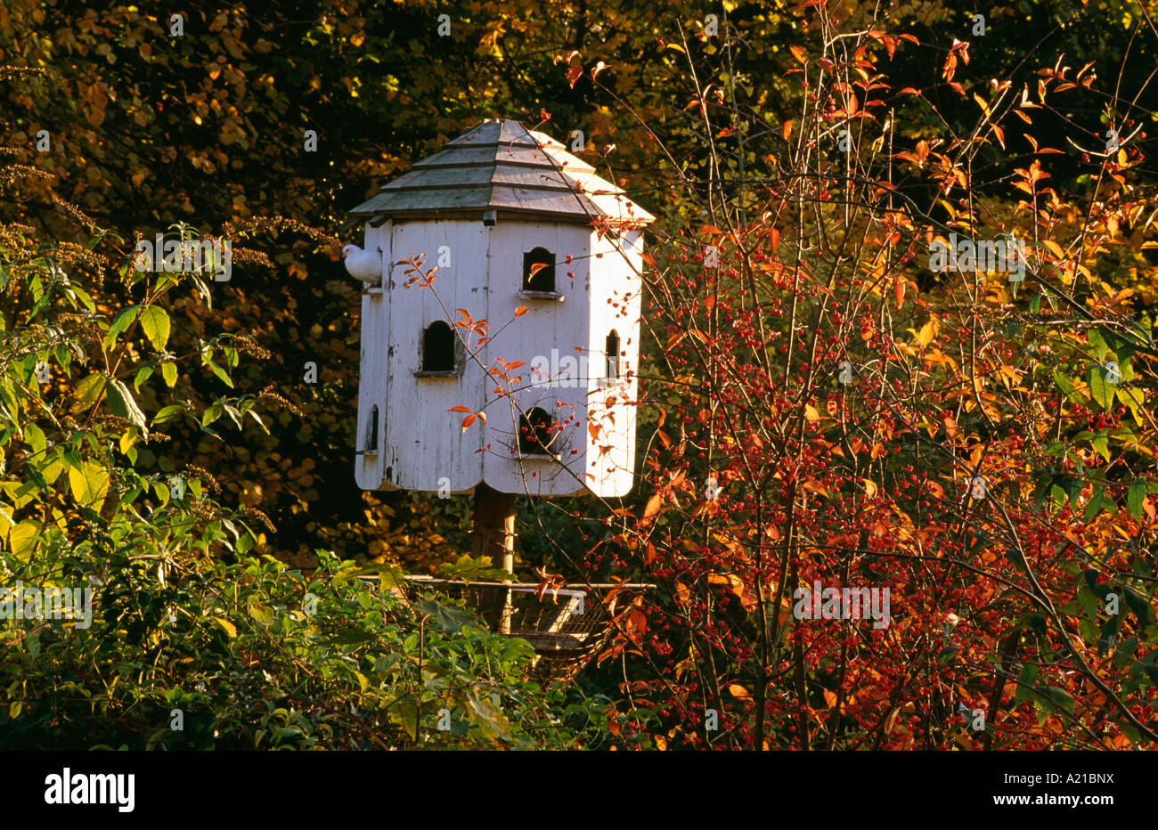 Close-up of white wooden birdhouse Stock Photo - Alamy