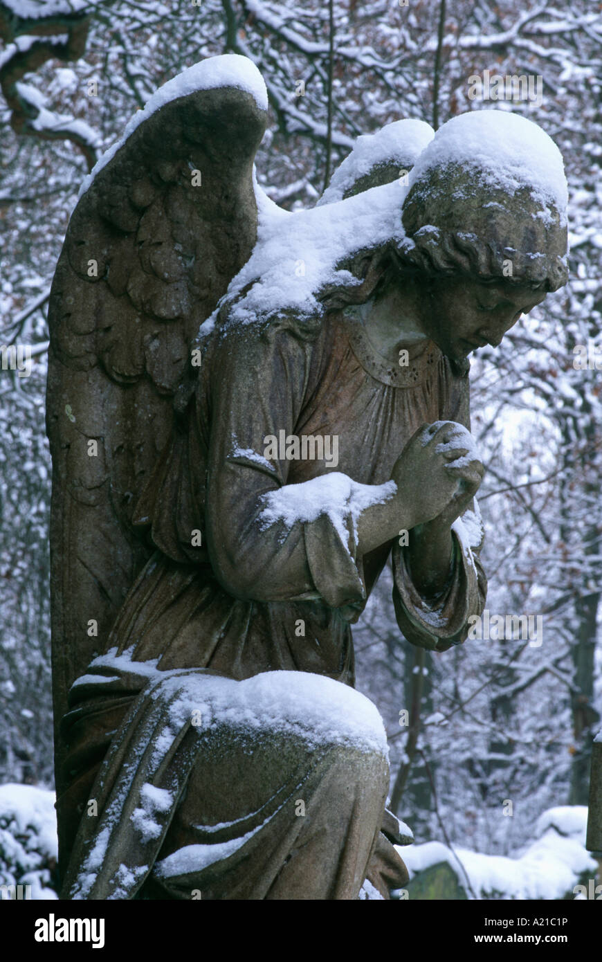 Close-up of snow-covered garden statue of angel Stock Photo - Alamy