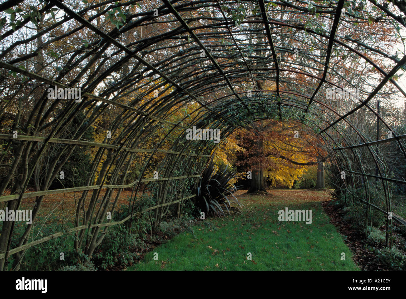 Arched pergola hi-res stock photography and images - Alamy