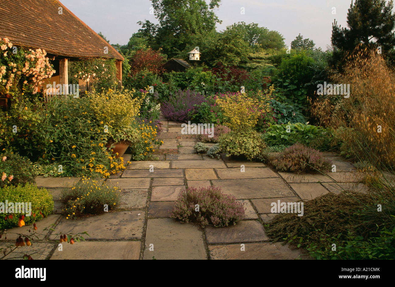 Paved terrace with flowering shrubs and plants Stock Photo - Alamy