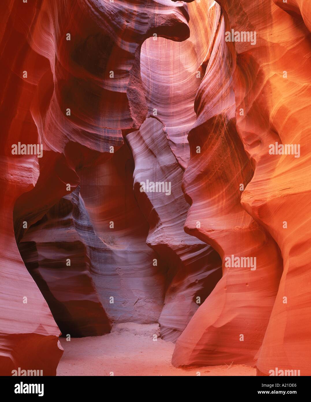 Coloured rock formations in the form of waves caused by erosion in ...