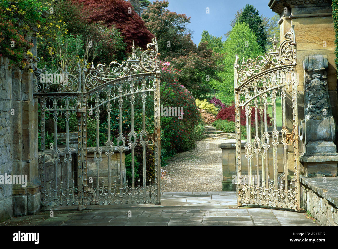 Open large wrought-iron garden gate with view of path and summer garden ...