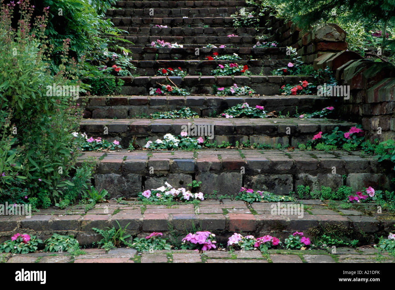 Pink impatiens on brick garden steps Stock Photo - Alamy