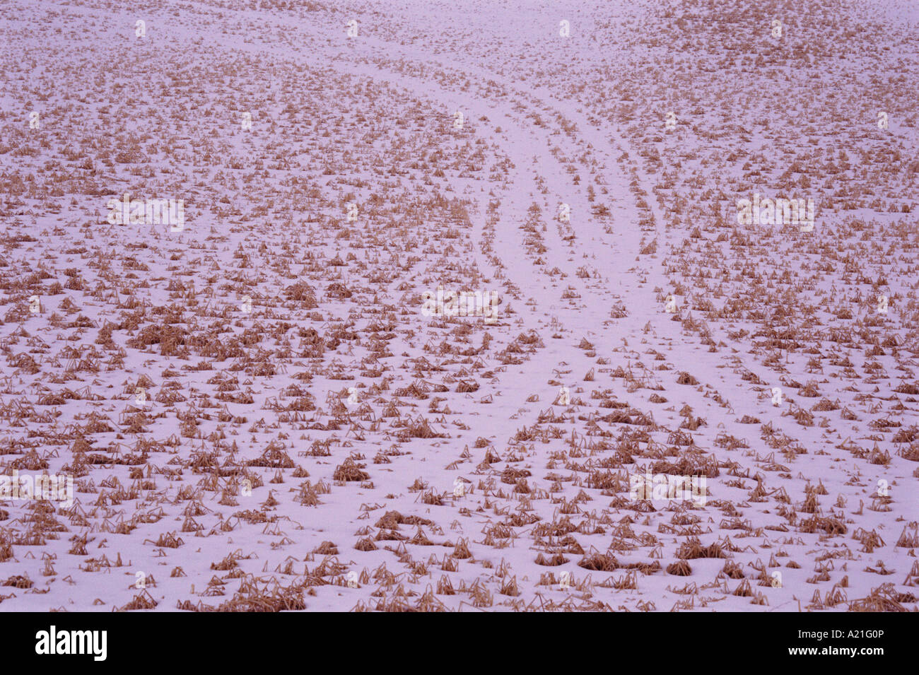 Track Marks in Snow Stock Photo - Alamy