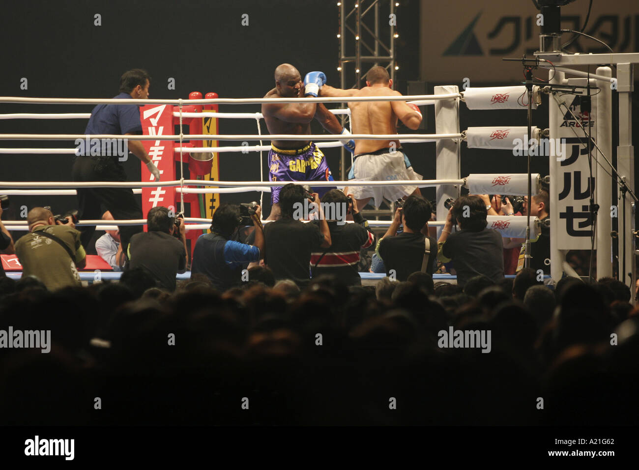 Boxers japanese hi-res stock photography and images - Alamy
