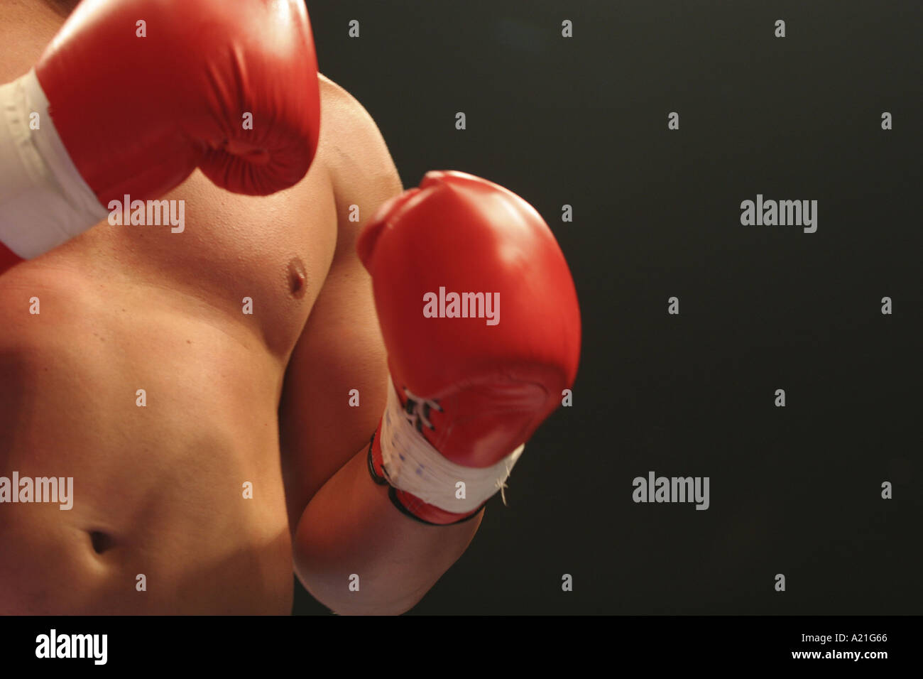 K 1 fighter opponents boxing in the ring during a match of the K 1 ...