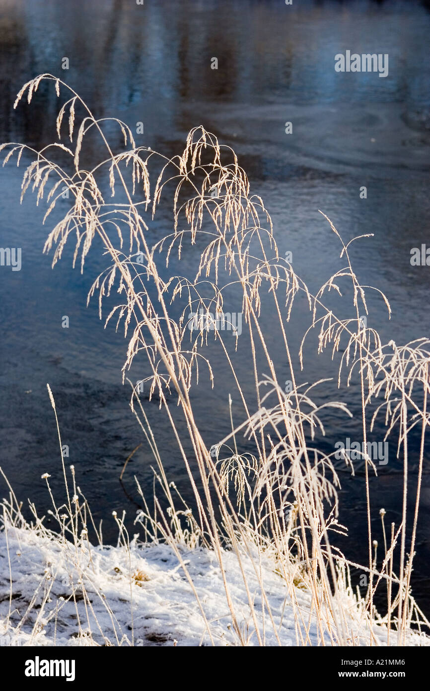 A river in the Grampians, the Water of Clunie rises in headstreams that ...