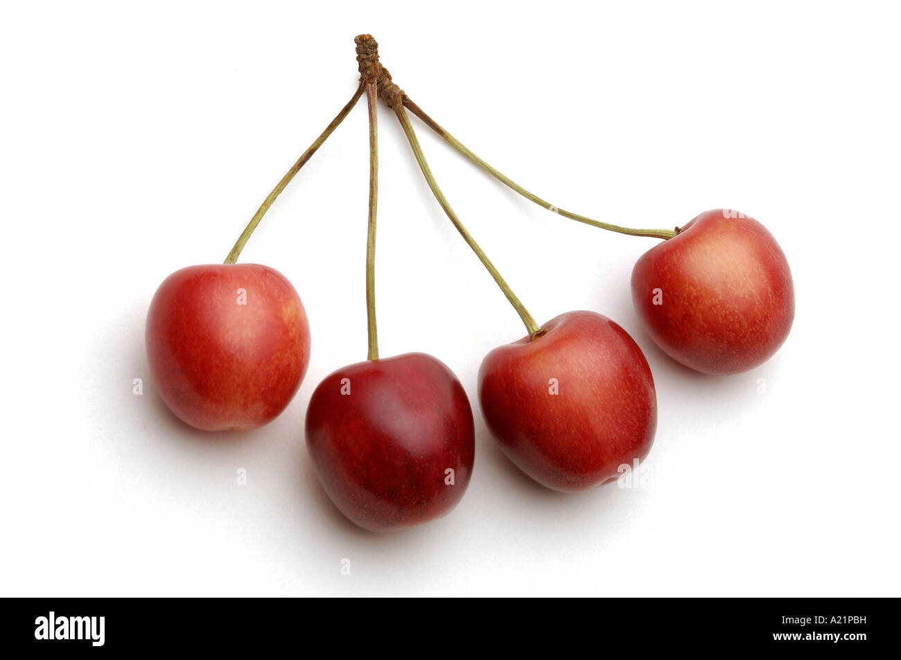 Four red Cherries on white background Stock Photo - Alamy