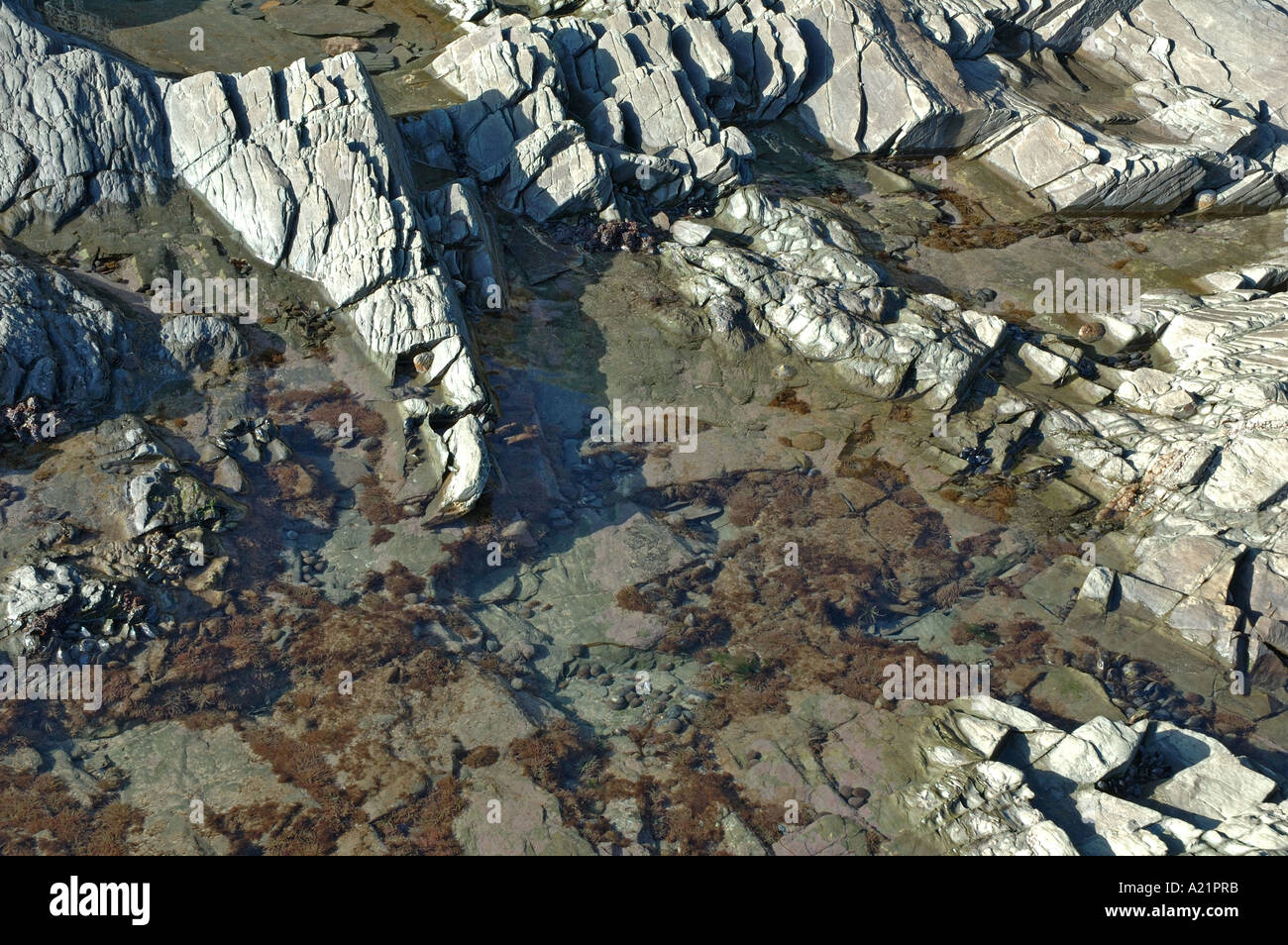 Cornish rockpool hi-res stock photography and images - Alamy