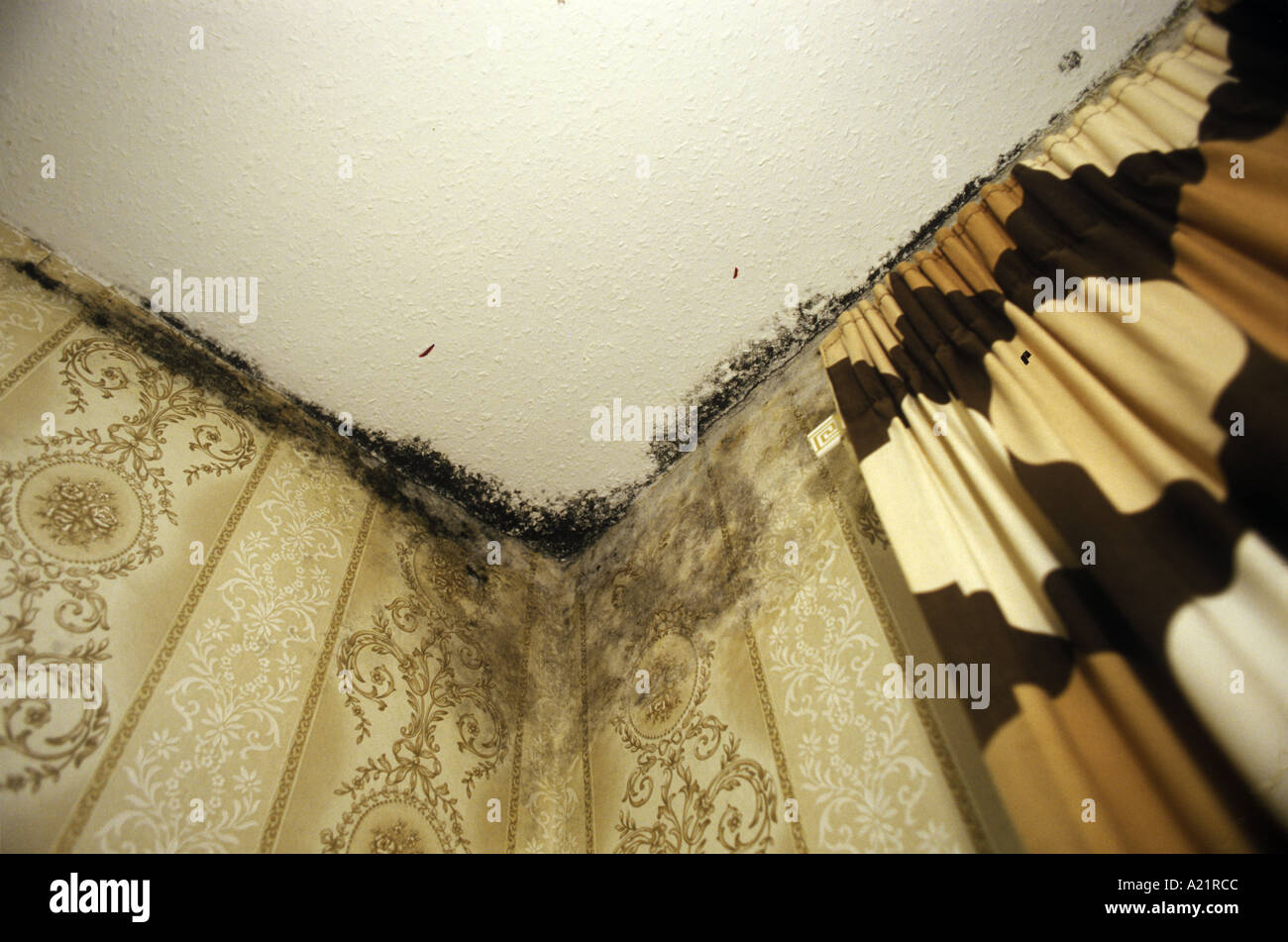 Mould and damp. Poor housing conditions Stock Photo - Alamy