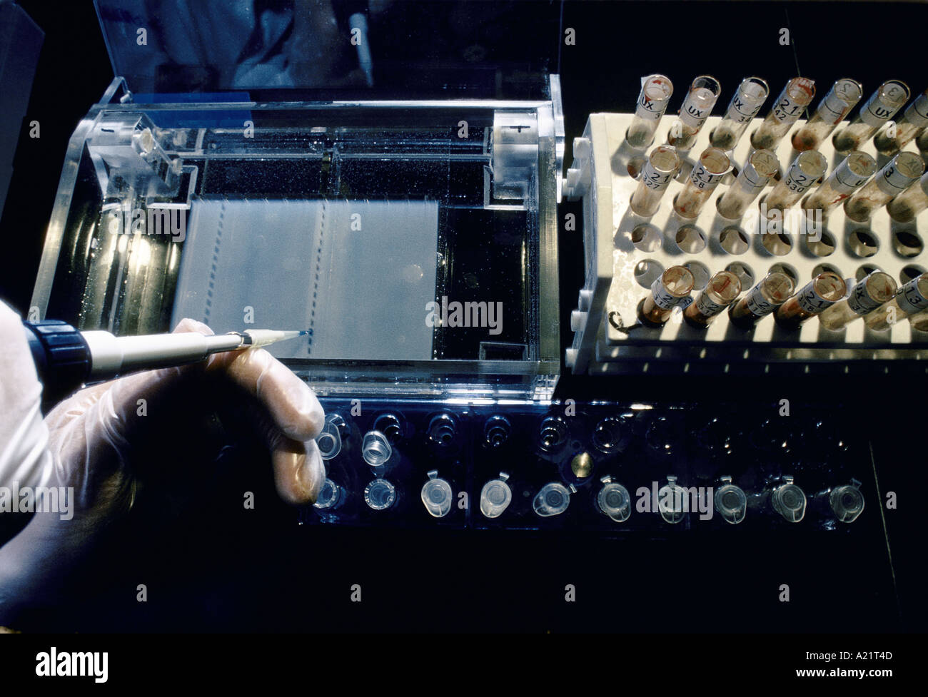 DNA research lab, Cambridge Stock Photo - Alamy