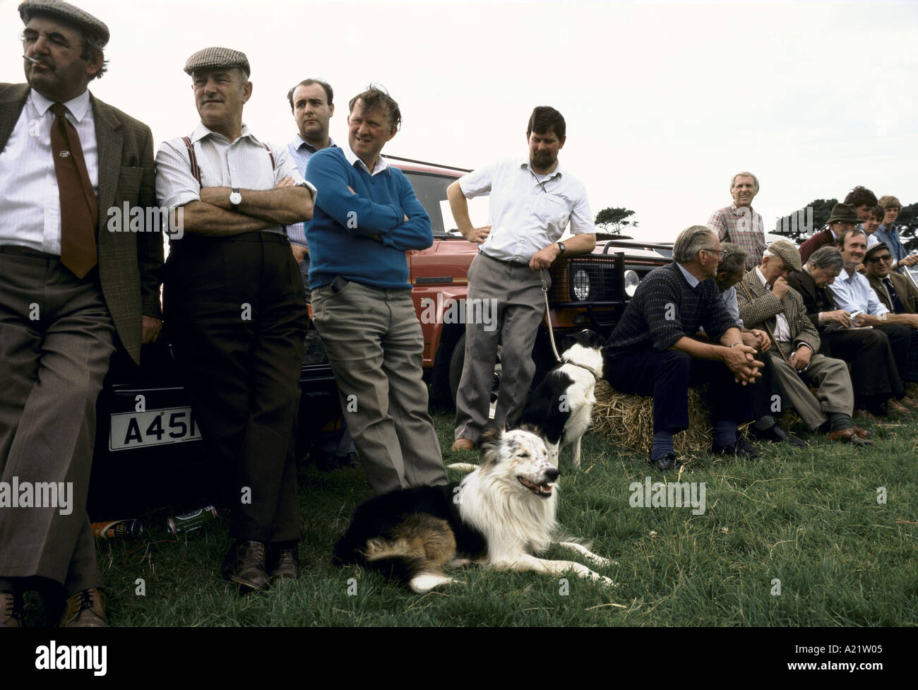 Spectators sitting with their dogs at the Sheepdog Trials, Wales Stock ...