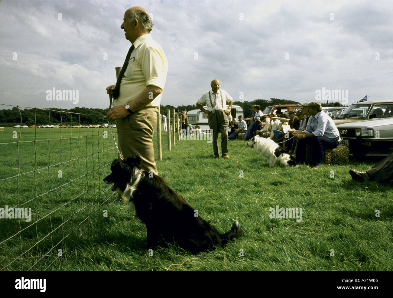 Spectators sitting with their dogs at the Sheepdog Trials, Wales Stock ...