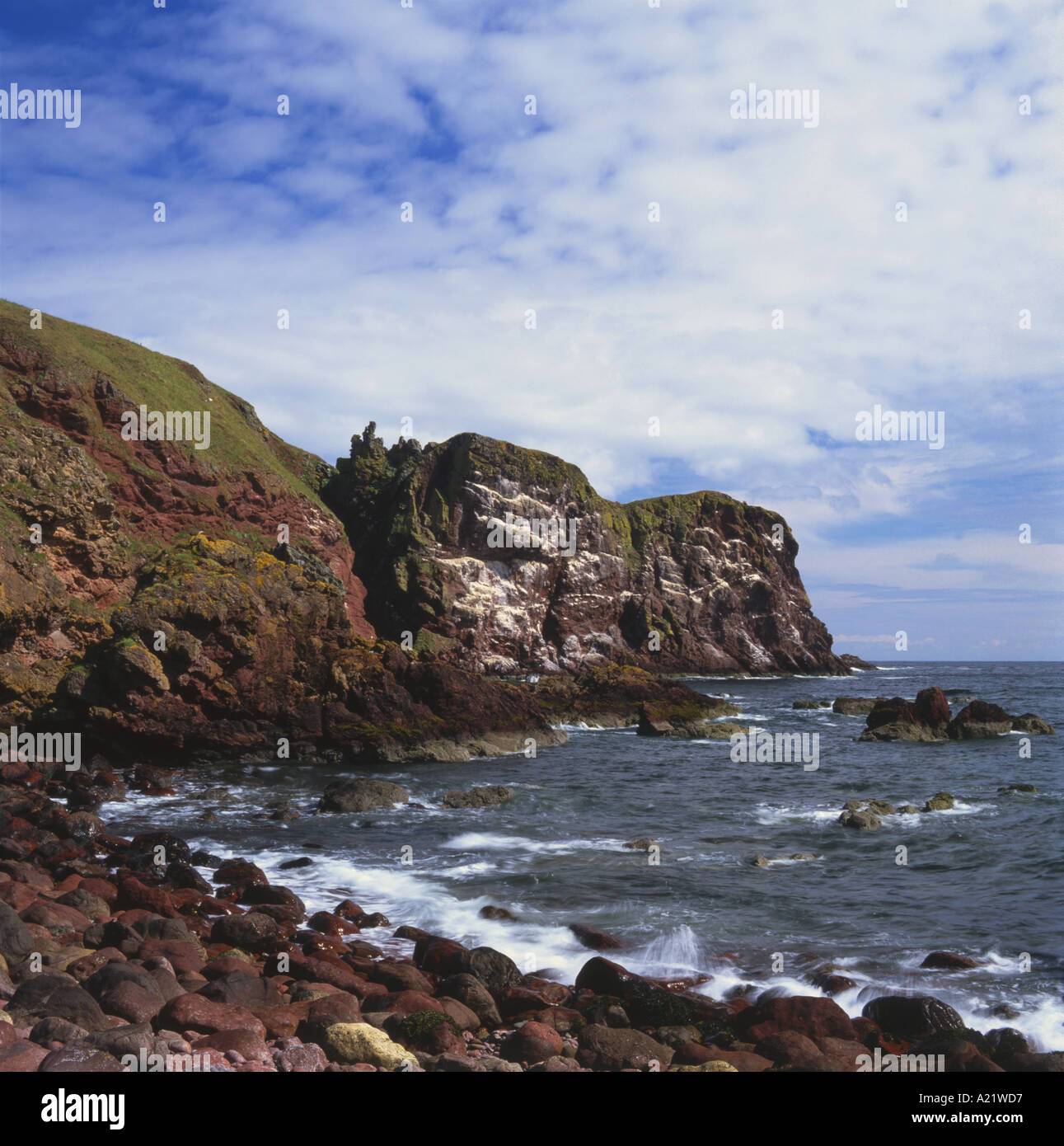 St abbs head view hi-res stock photography and images - Alamy