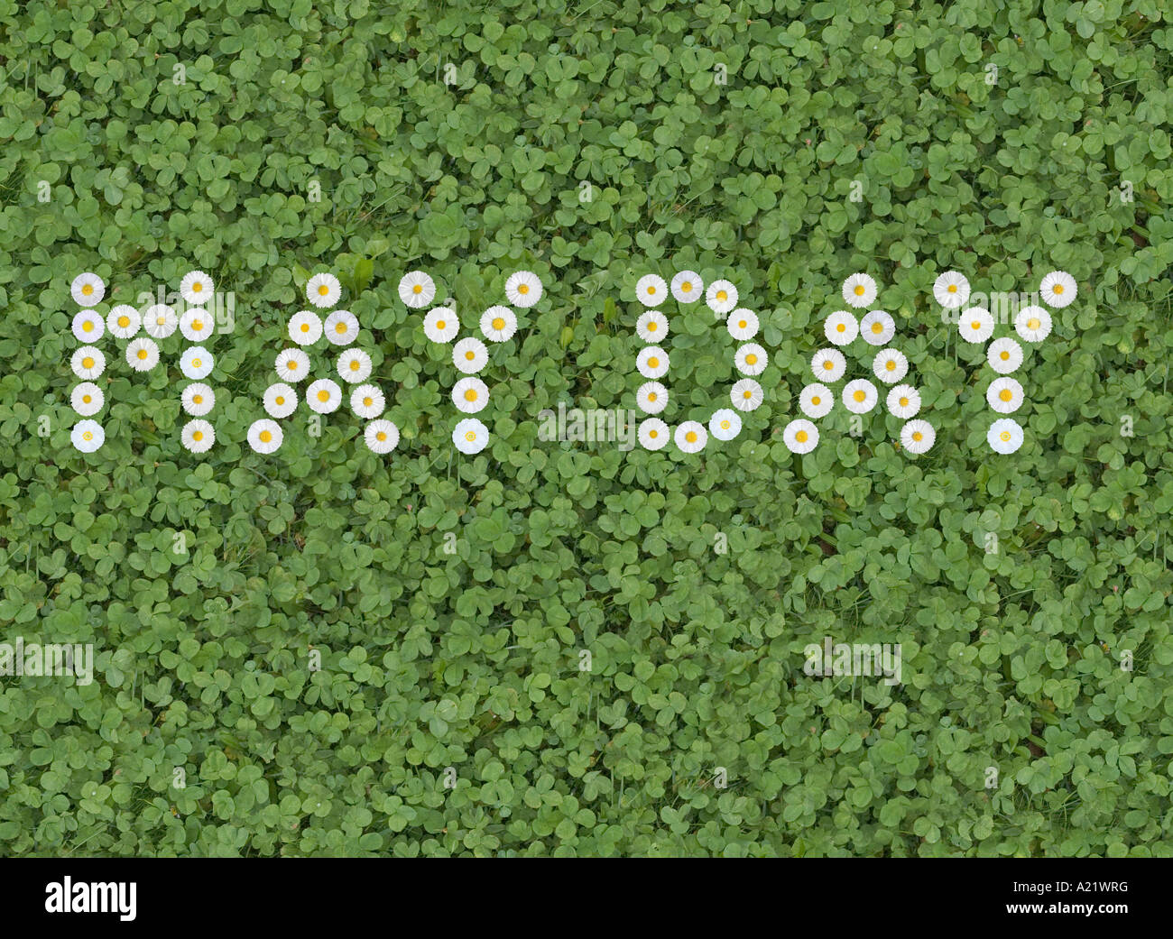 May day bank holiday hi-res stock photography and images - Alamy