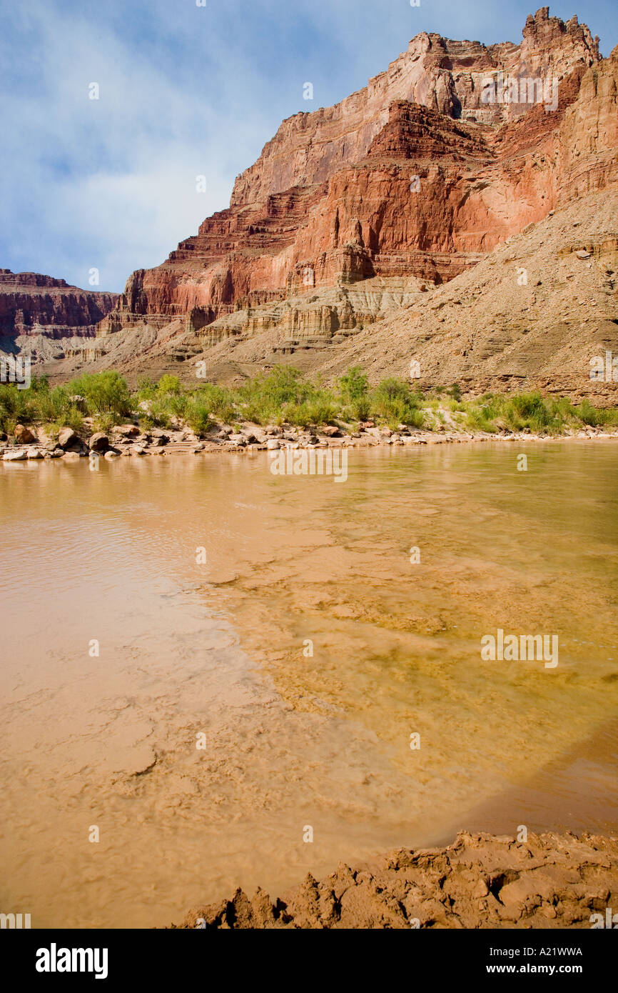 Little Colorado entering Colorado River Grand Canyon Arizona Stock ...
