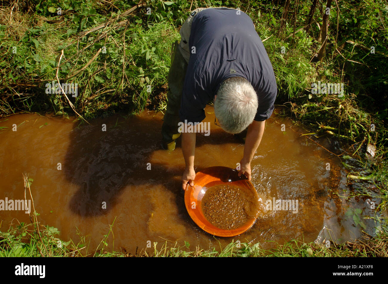 Gold panning in river near hi-res stock photography and images - Alamy
