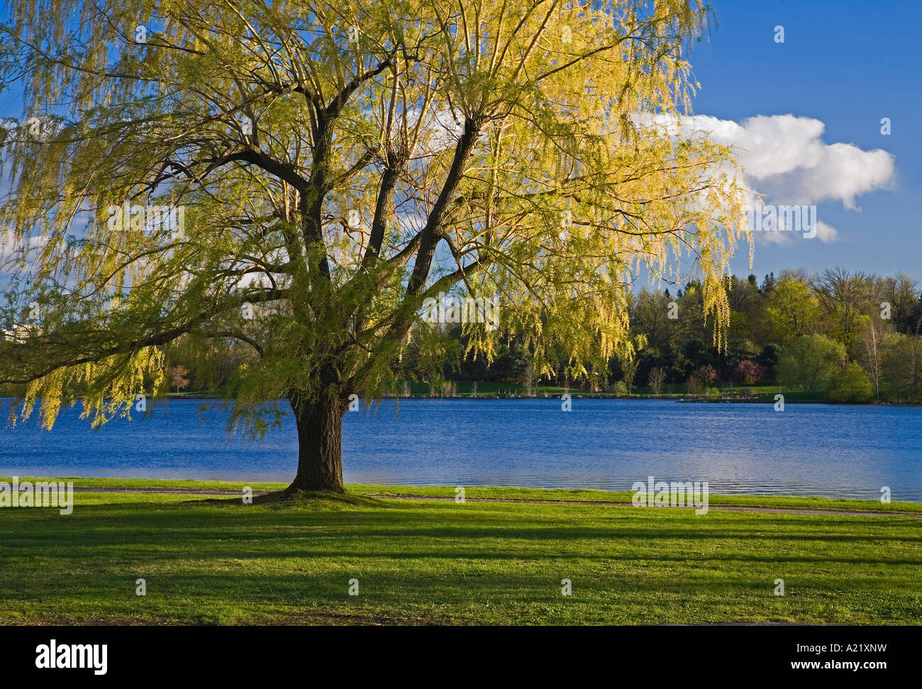 Dows Lake, Ottawa, Ontario, Canada Stock Photo - Alamy