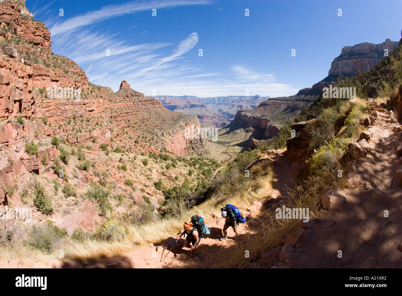 Bright Angel Trail Colorado River Grand Canyon Arizona USA Stock Photo ...
