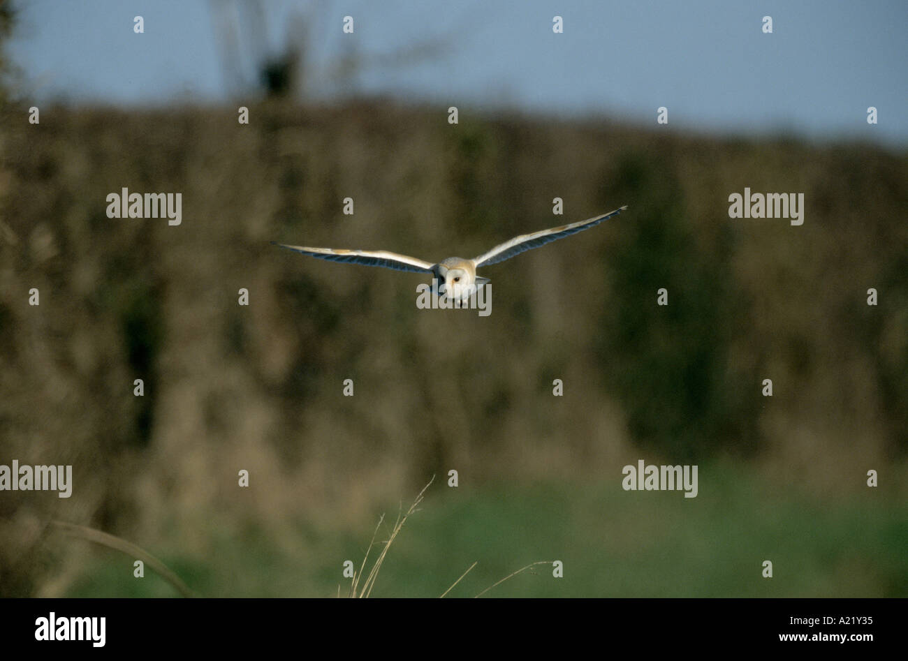 Rough barns hi-res stock photography and images - Alamy
