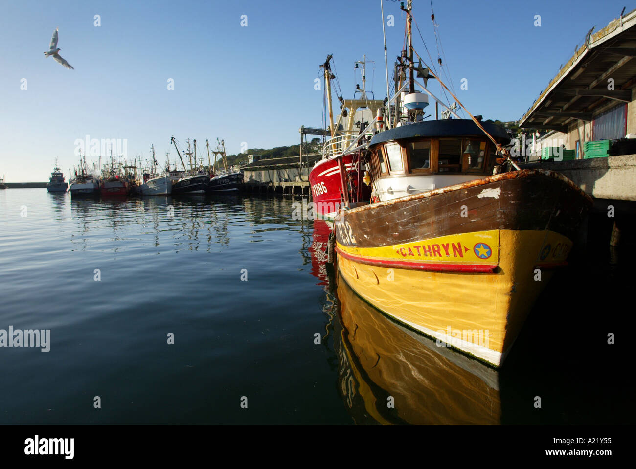 Fishing boats alongside at Newlyn fish market Cornwall UK Stock Photo ...