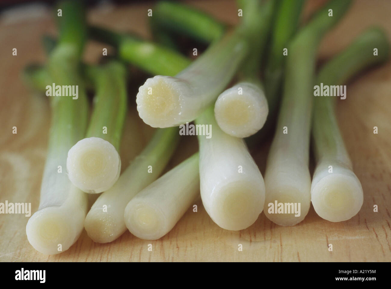Allium fistulosum 'Feast' AGM (Spring onion, Salad onion) Washed and ...