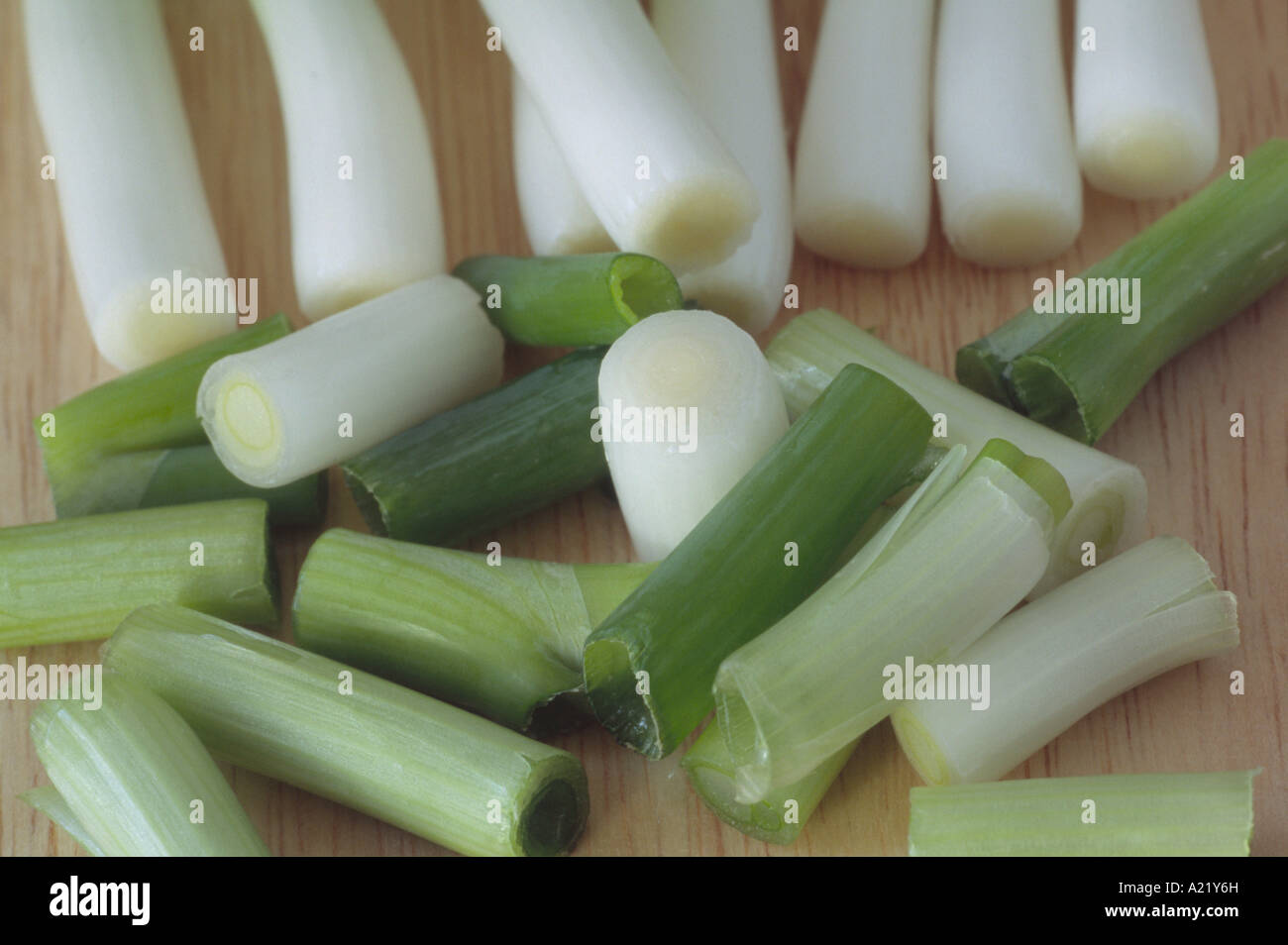Allium fistulosum 'Feast' AGM (Spring onion, Salad onion) Washed and ...