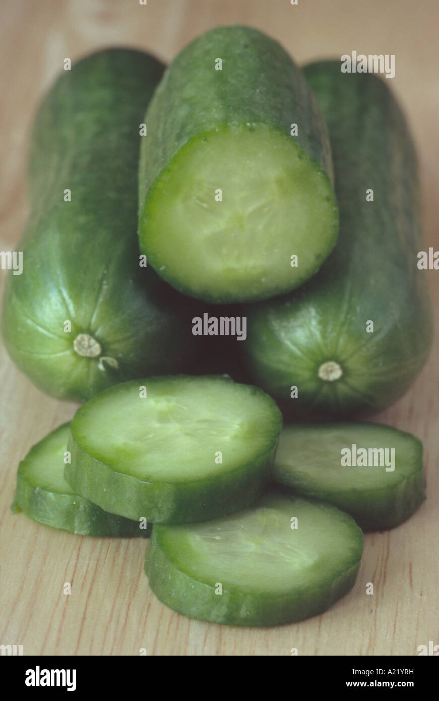 Cucumis sativus 'Cucino' (Cucumber) F1 Hybrid all female mini cucumbers ...