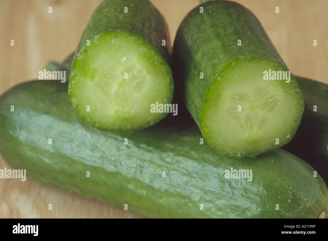 Cucumis sativus 'Cucino' (Cucumber) F1 Hybrid all female mini cucumbers ...